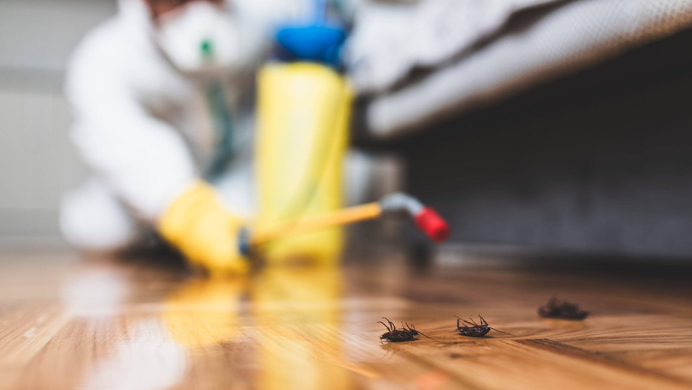 March: The Quiet Launch of Pest Season in Brentwood
