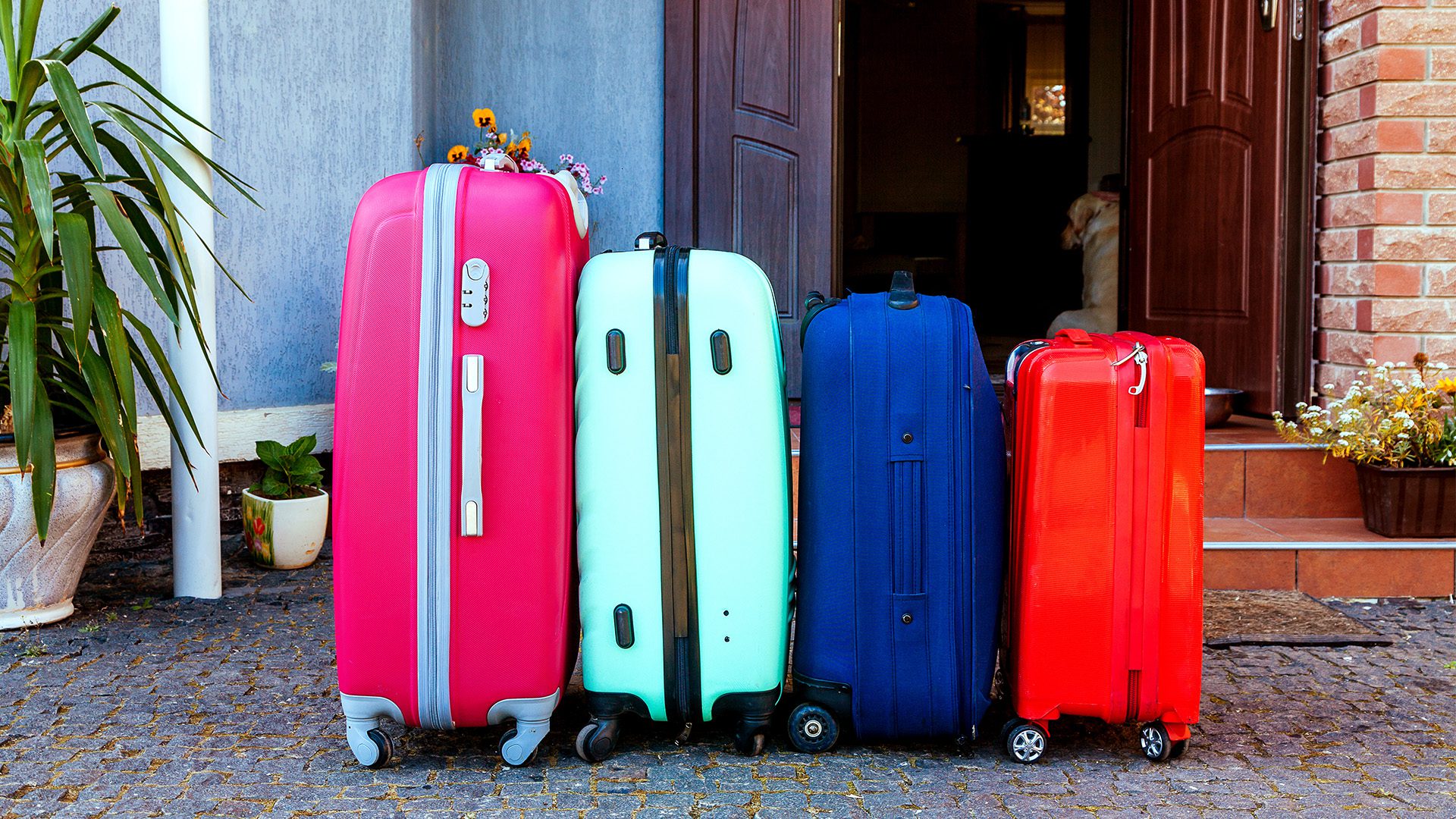 The Top 3 Family Travel Trends for 2026