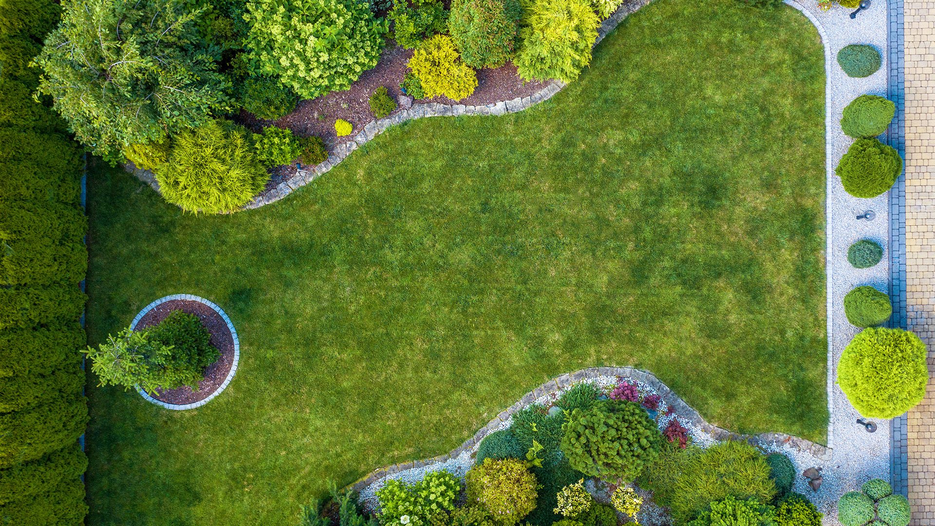 Beat the Heat: Choosing the Right Plants for North Alabama’s Hottest Months