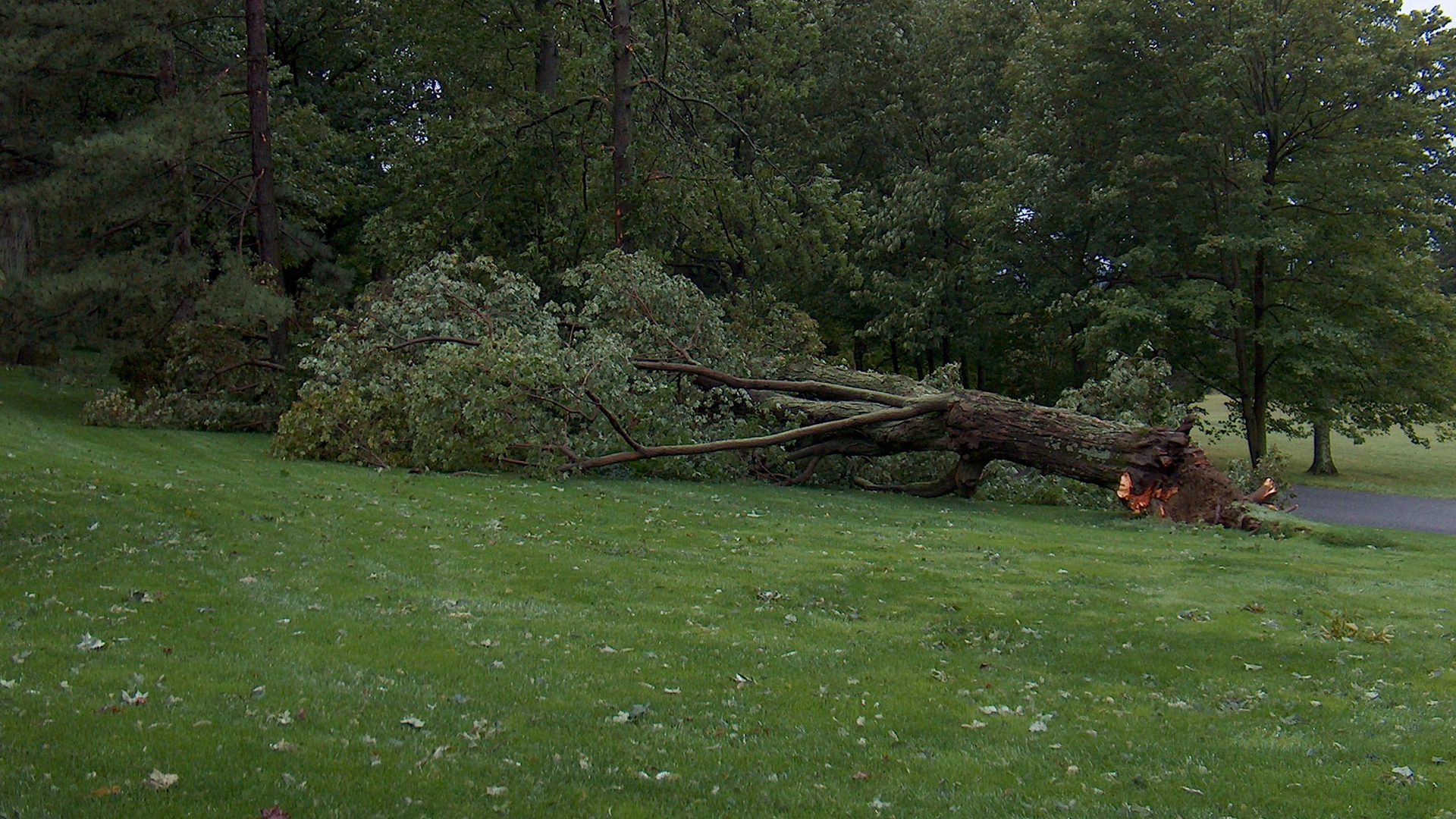 Preventing Storm Damage Before the Clouds Roll In