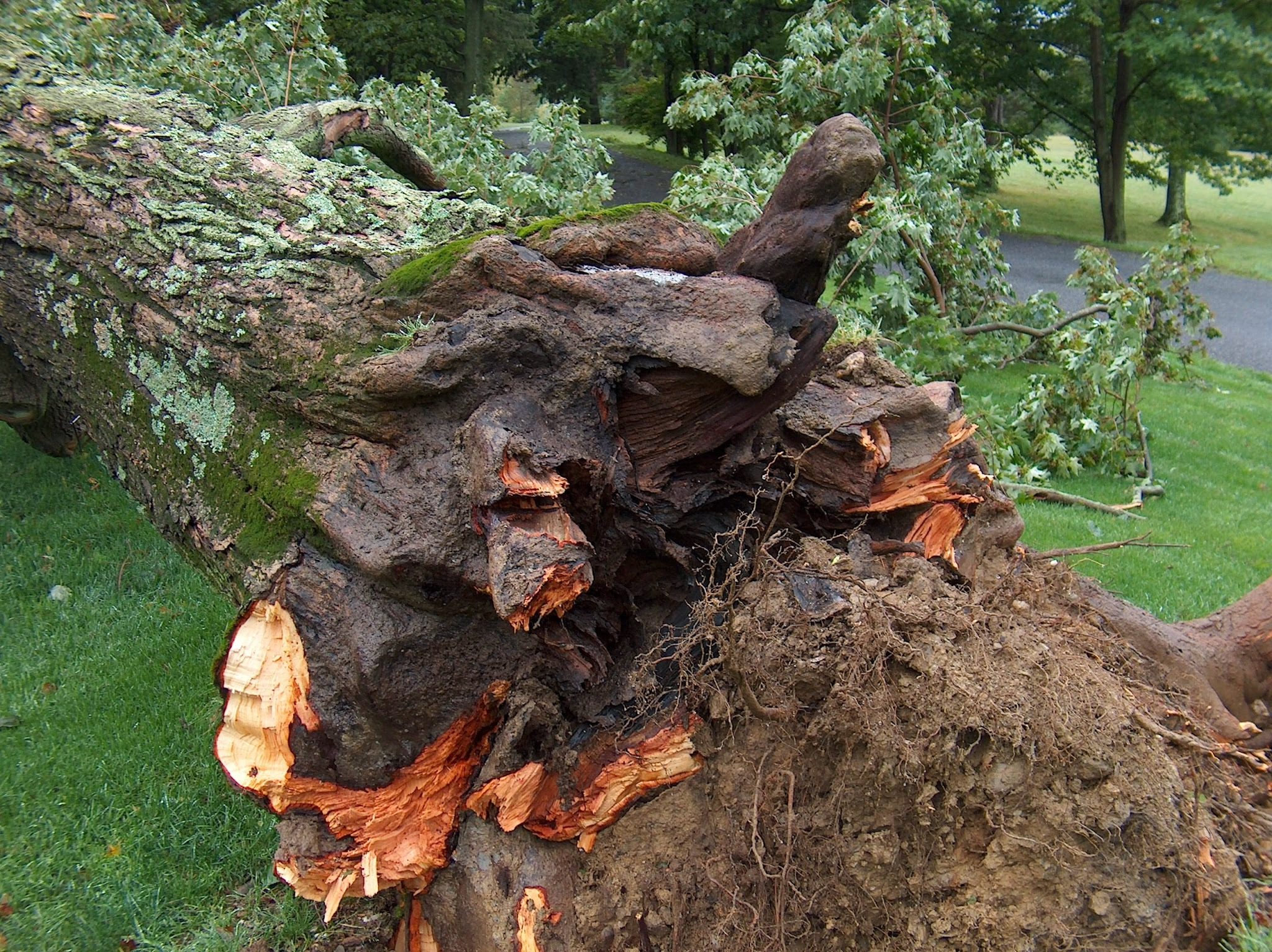 Preventing Storm Damage Before the Clouds Roll In