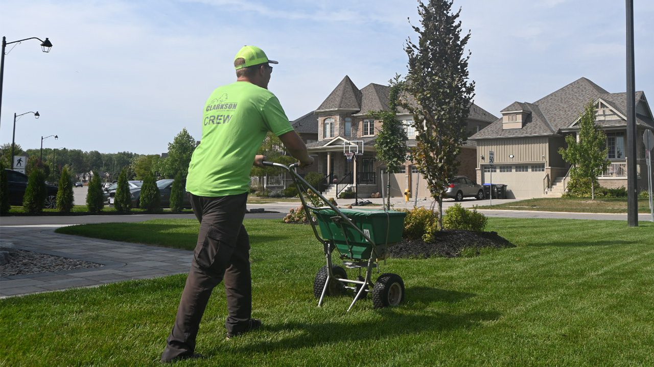 Beating the Burn: How to Prepare Your Lawn for Summer Heat and Drought