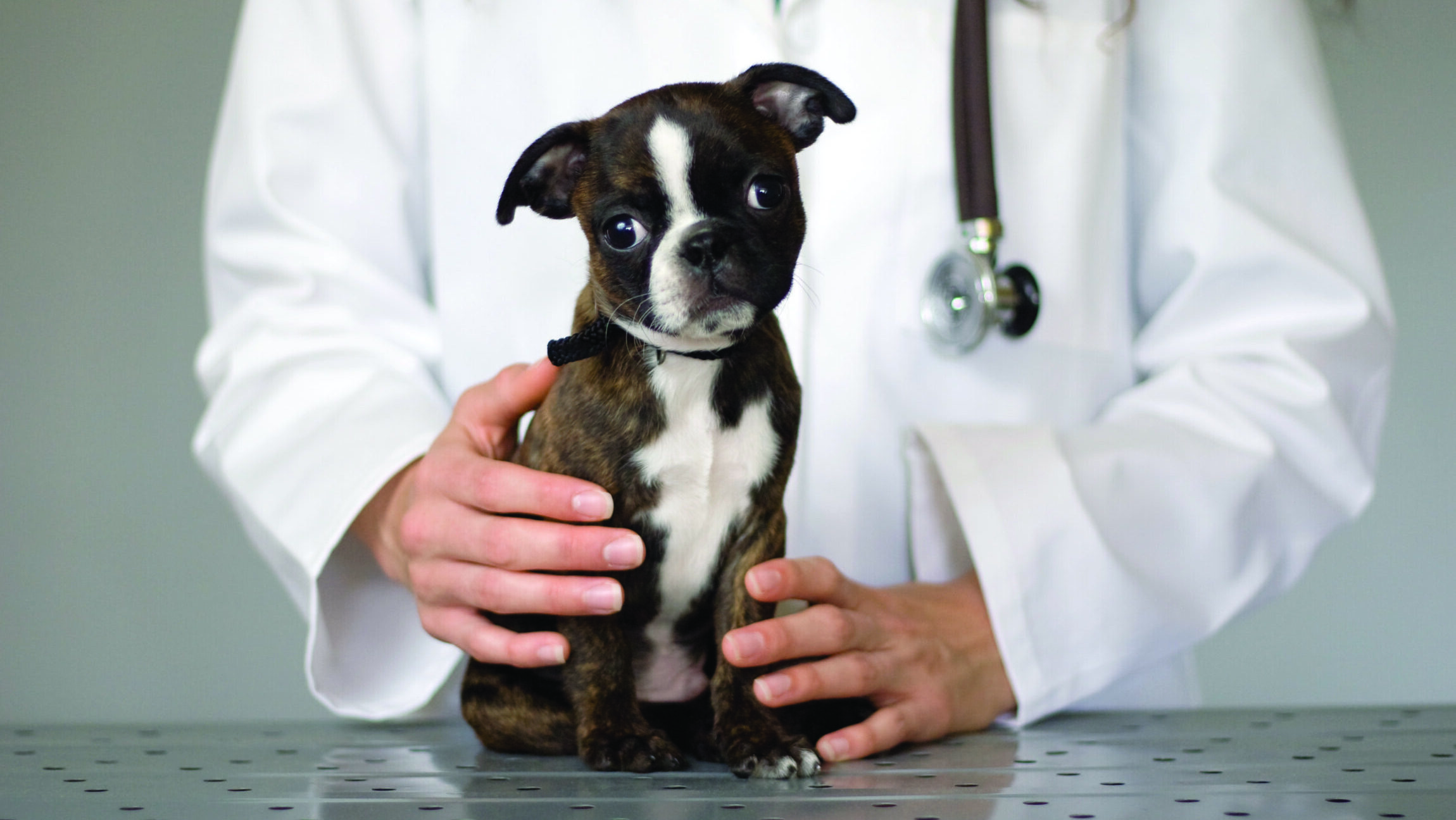 PCR Screening for Intestinal Parasites